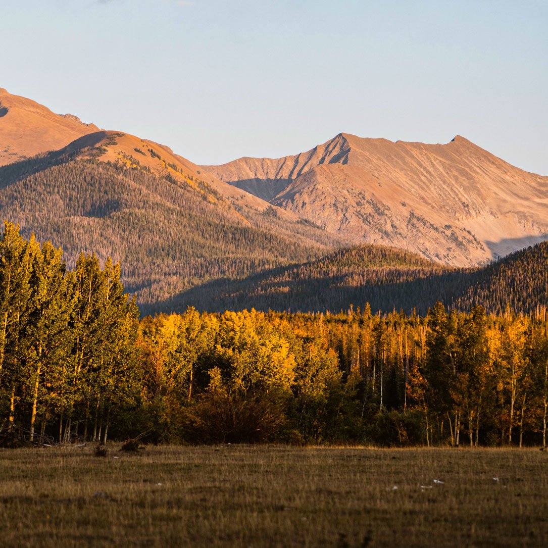 Assets We Buy – Triton Investment Co.